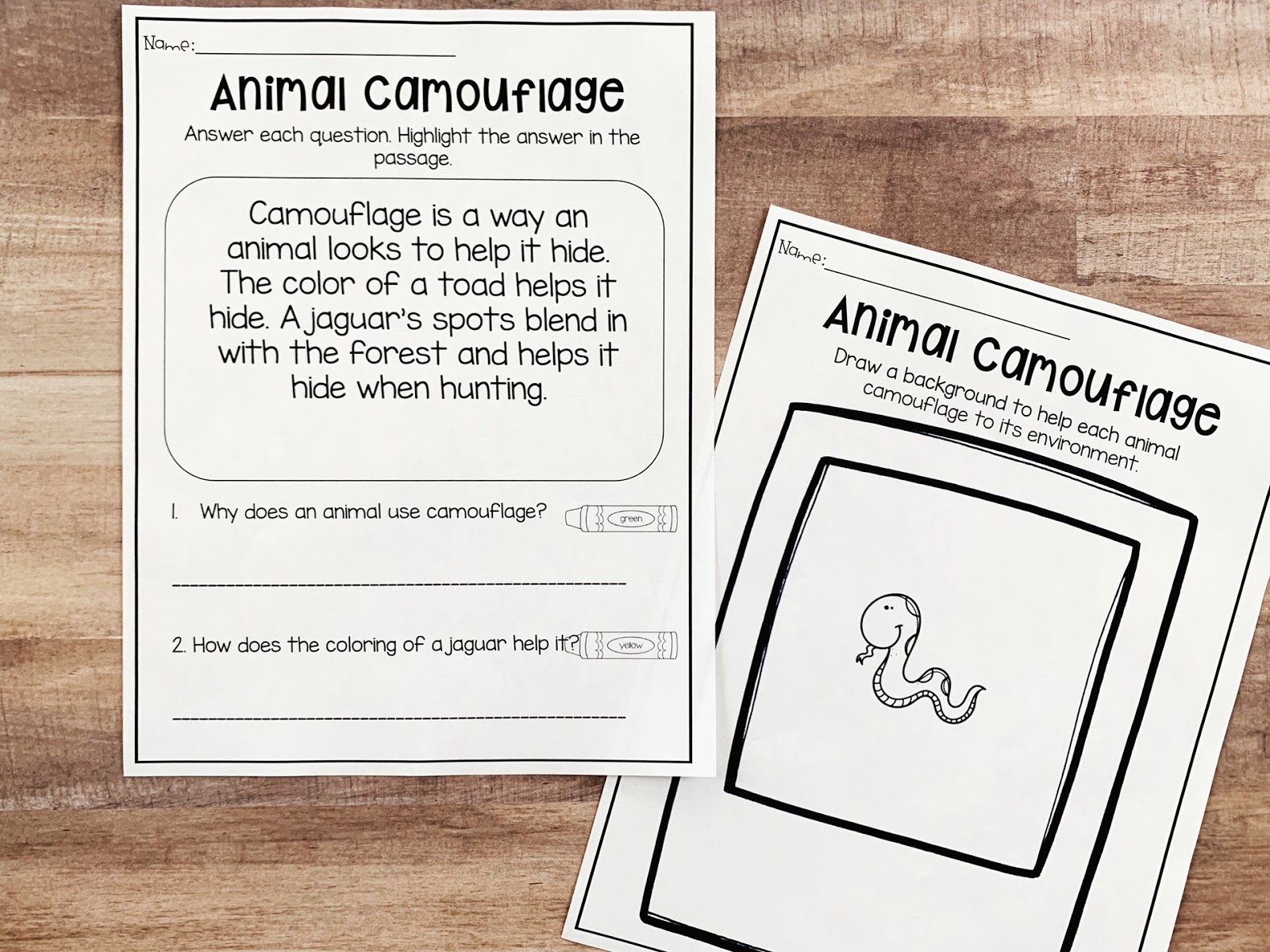 Rainforest ELA Unit for Kindergarten and 1st Grade | Busy Hands and Minds