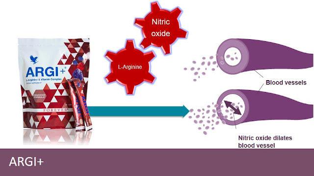 BENEFITS OF FOREVER ARGI PLUS