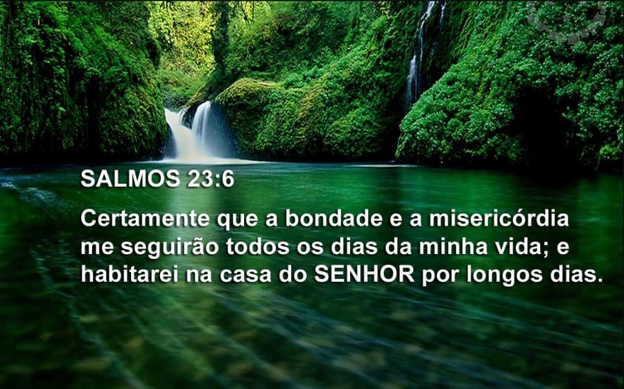TABERNÁCULO BATISTA BÍBLICO: Sermão em Salmos 23: O Pastor da Vida