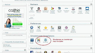 İnternetten Para Kazanmak Mümkün Mü?: Hosmonster ile Sınırsız Domain