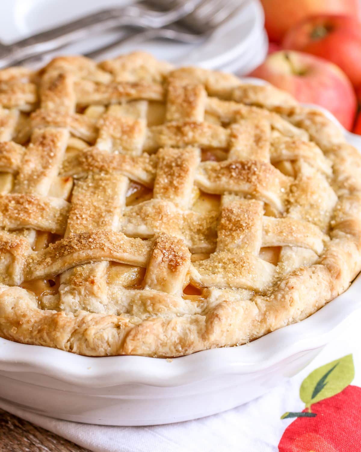Best Apple Pie - Mom's Easy Recipe
