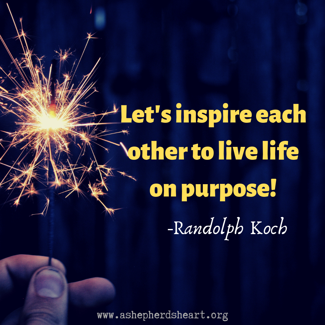 A Shepherd's Heart: Live Life On Purpose!