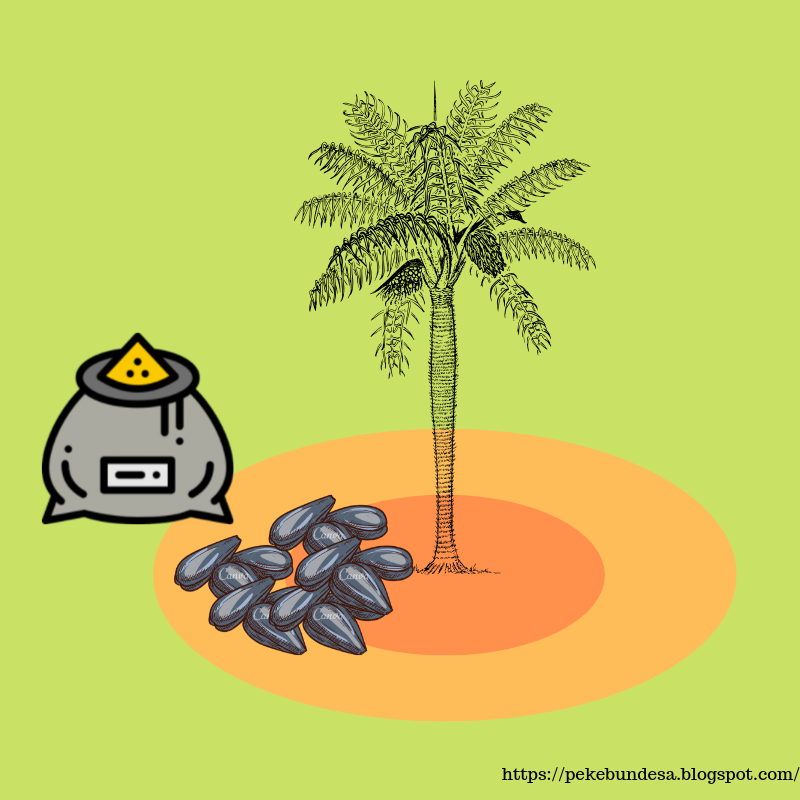 Cara membuat "circle racking" sawit matang