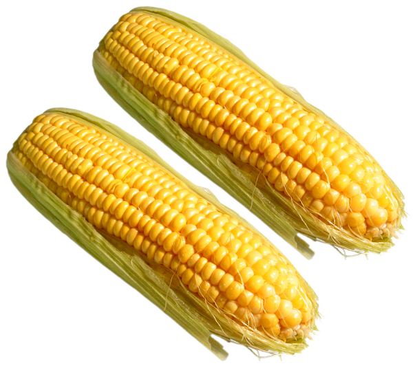 Jornalheiros: Dois milhões