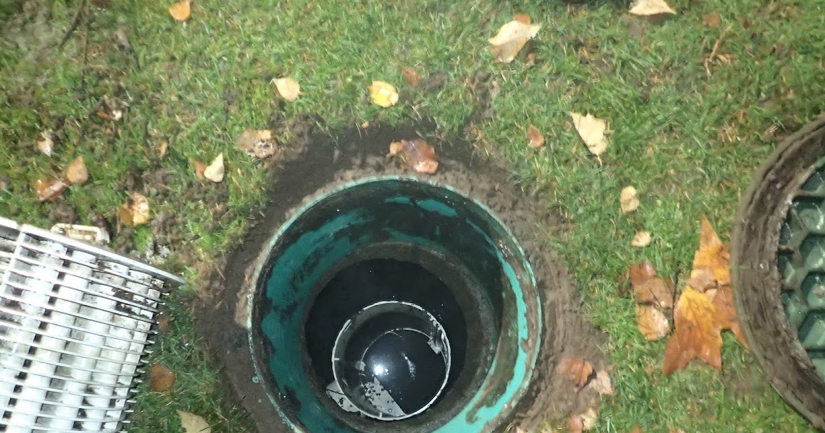 Redwood Scout: Excitement in the Backyard: Septic extension - 23 ...
