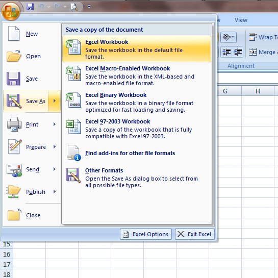 Interface Microsoft Excel 2007 - Traveling Murah