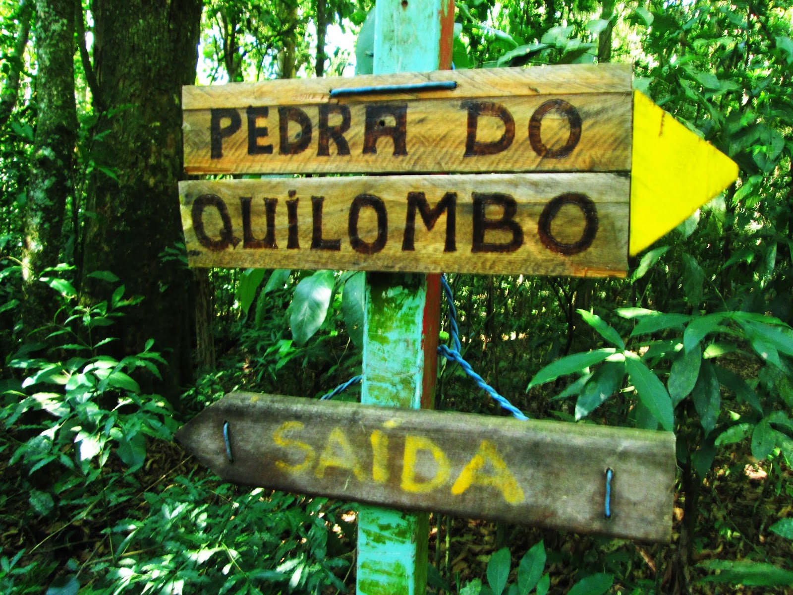 Meu Rio de Janeiro !!!: Trilha do Morro do Quilombo