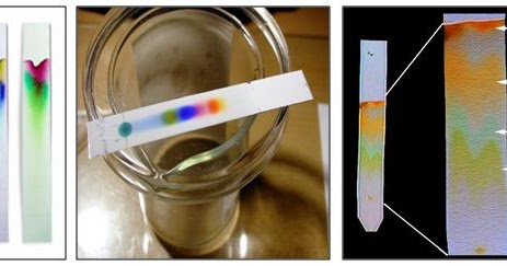 Thin Layer Chromatography (TLC)