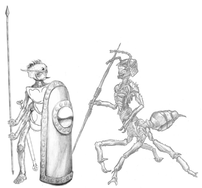 Termen 5e: July 2015