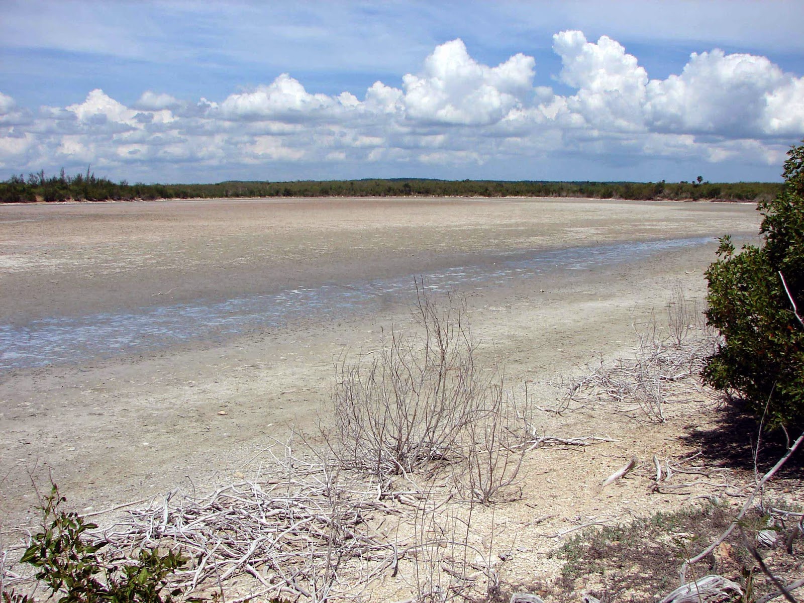 ALDEA COTIDIANA: Sal en Cuba colonial. Las salinas de Nipe