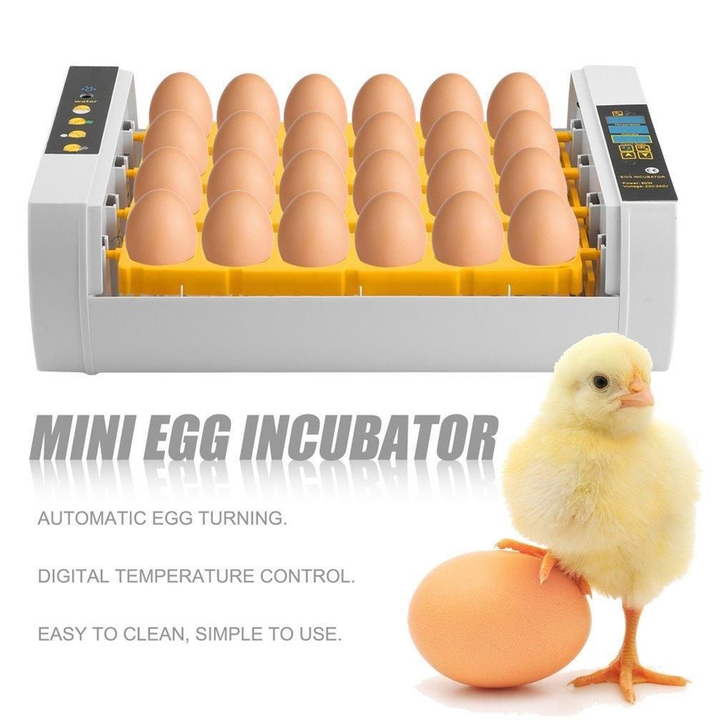 inkubator telur mesin penetas telur mini (review) - Elinotes review