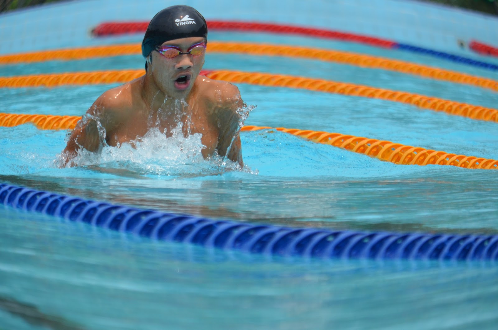 Ikan Bilis Swimming Club (1971) KL: SEASAC Swim Meet 2013 in Bangkok