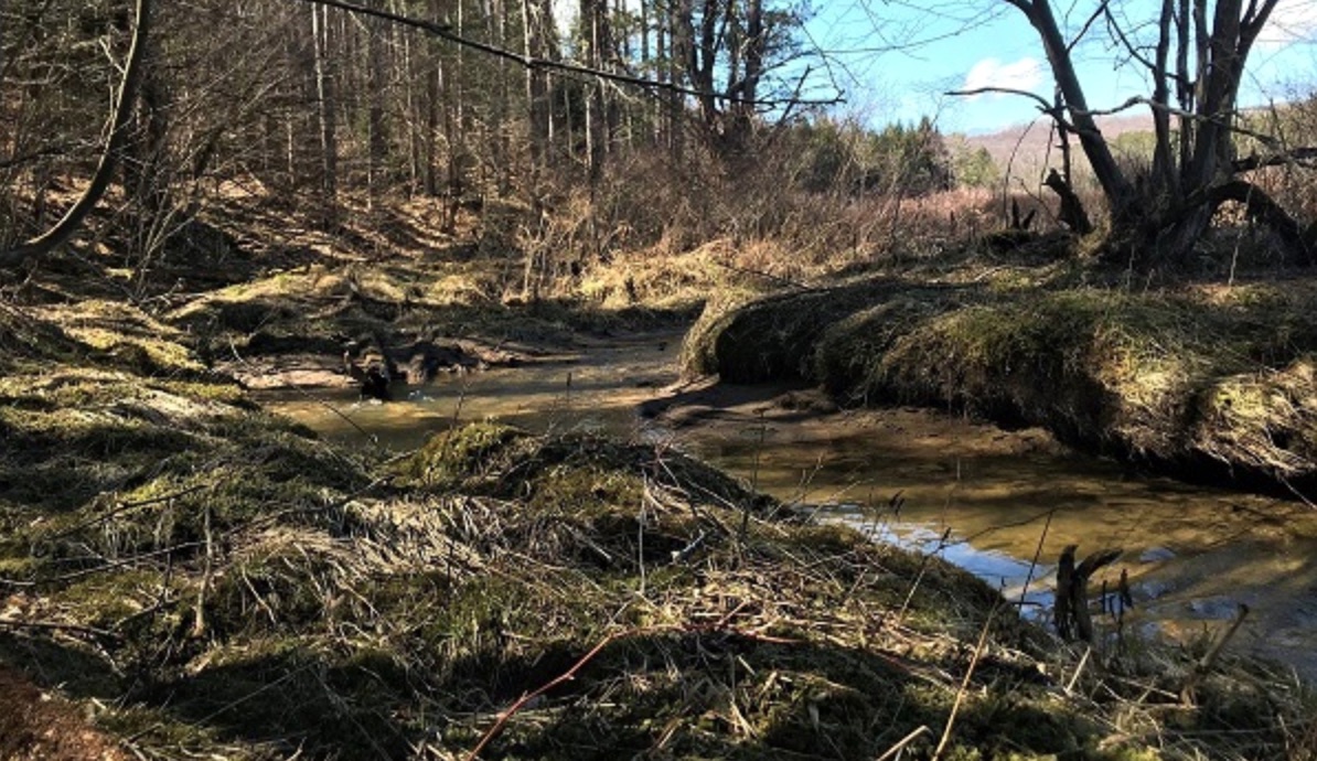 PA Environment Digest Blog Monitoring Streams With Visual Assessment pa-environment-digest-blog-monitoring-streams-with-visual-assessment