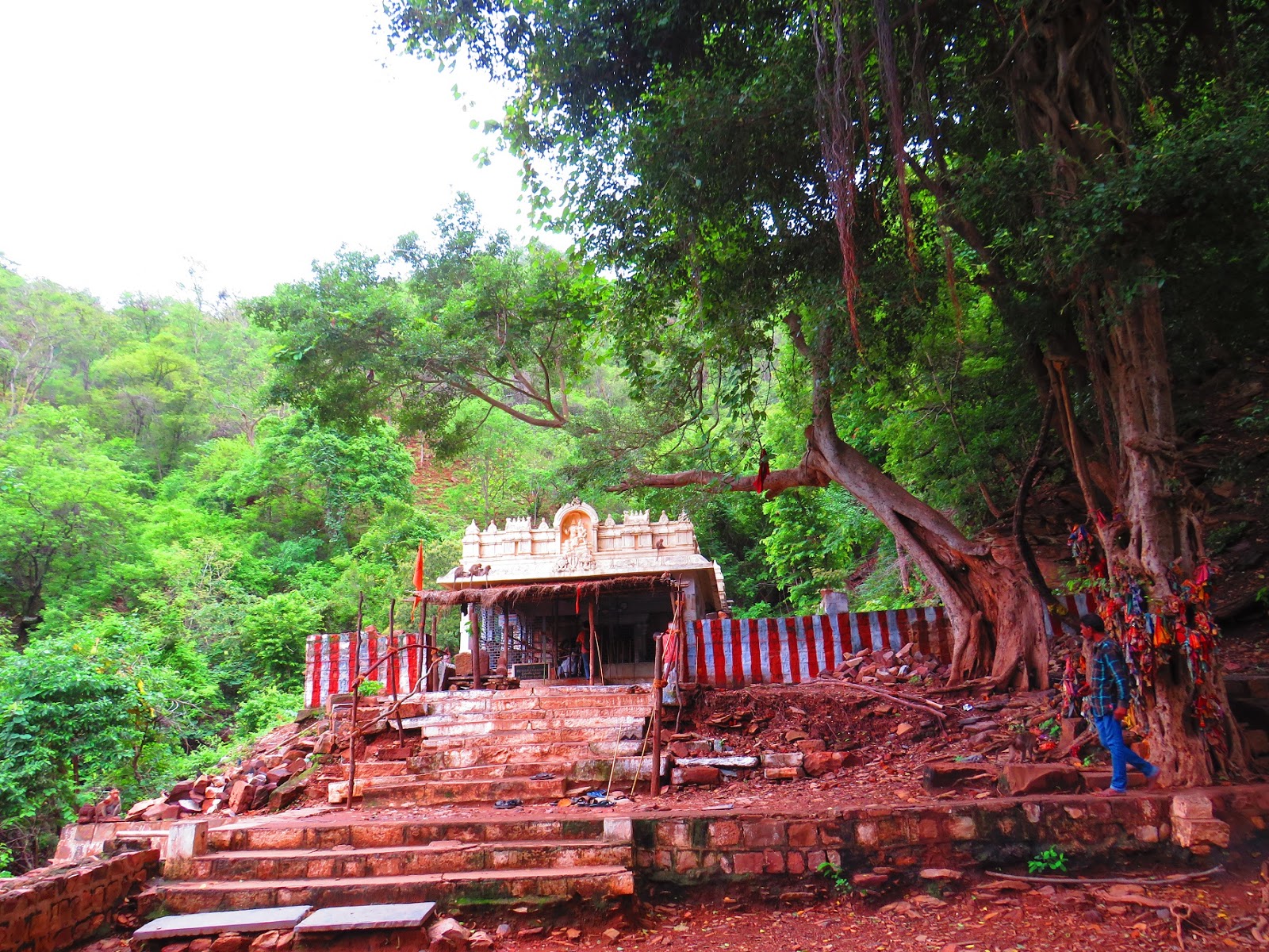 Ahobilam Nava Narasimha and Other Temples - A Complete Guide