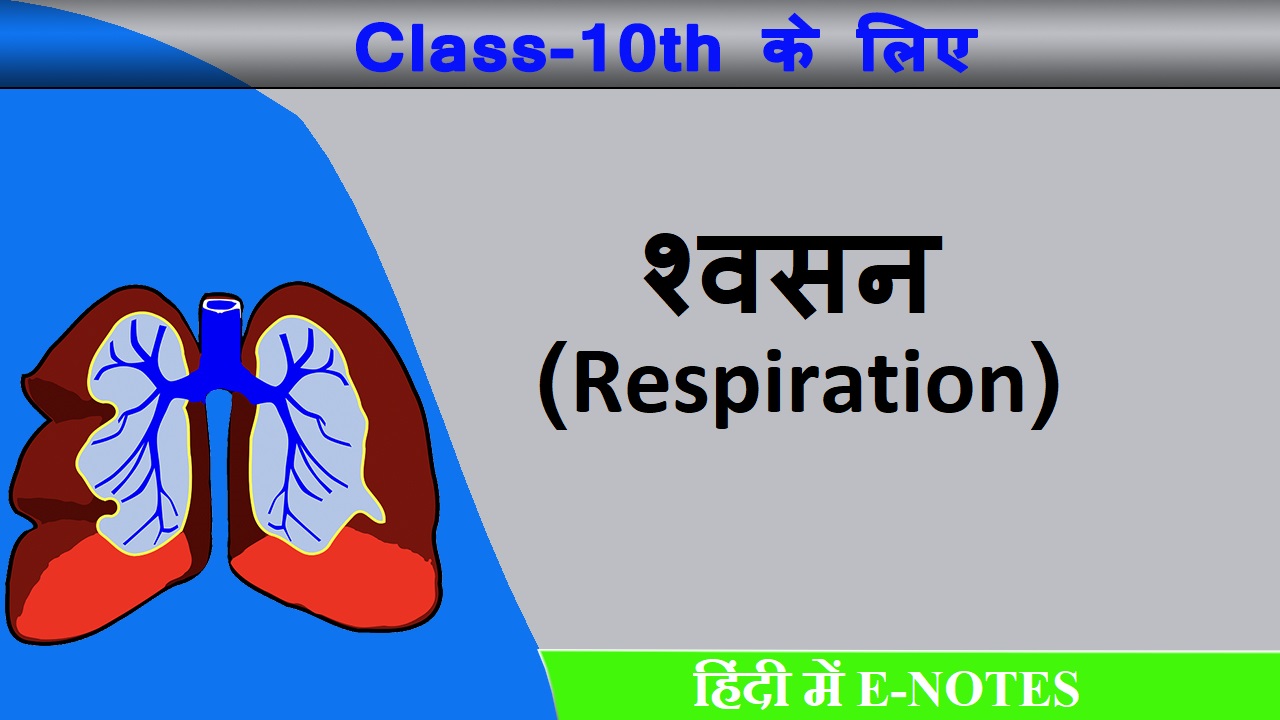 Ex :-2 श्वसन (Respiration)