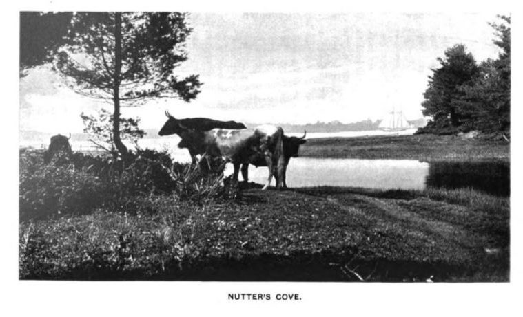 Twigs on the Family Tree: The Appropriately Named Hatevil Nutter: 52 ...