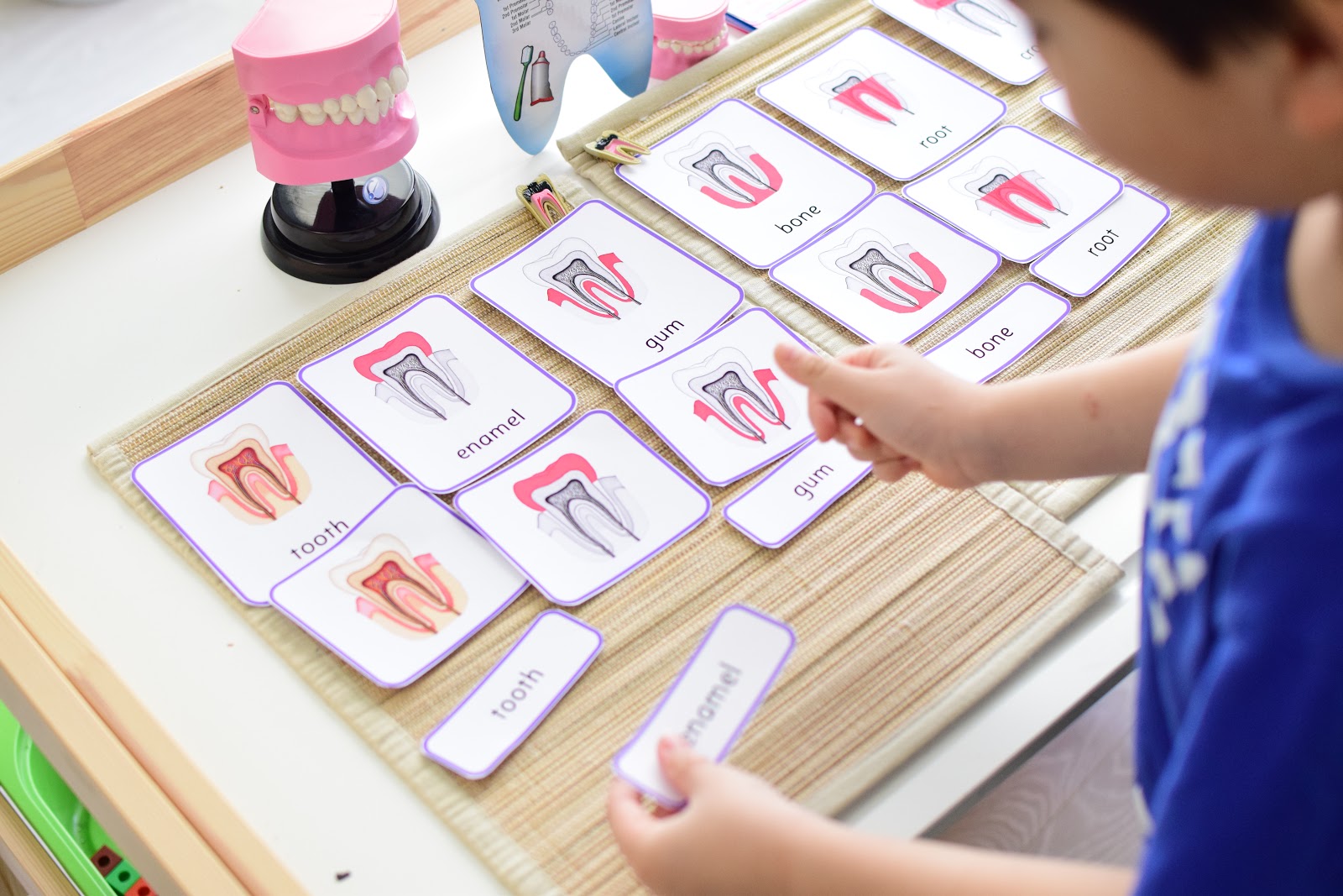 Introducing Dental Health to Kids | The Pinay Homeschooler