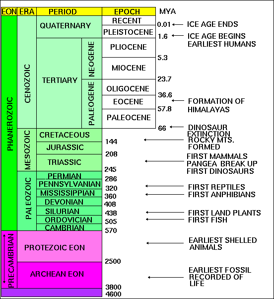 Skala Waktu Geologi:Perbedaan Kurun, Era, Periode dan Kala - Biologizone