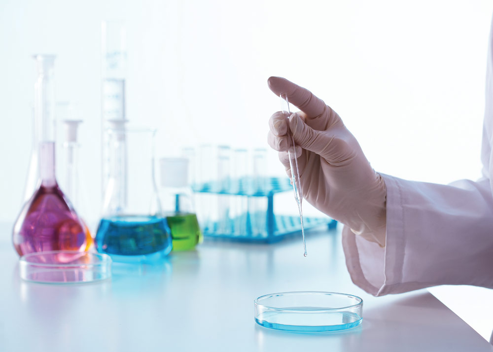 OBJETO DE ESTUDIO DE LA BACTERIOLOGÍA