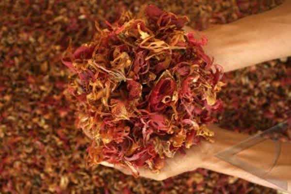 Khasiat Bunga Pala Dan Takaran Meraciknya - Rempah indonesia