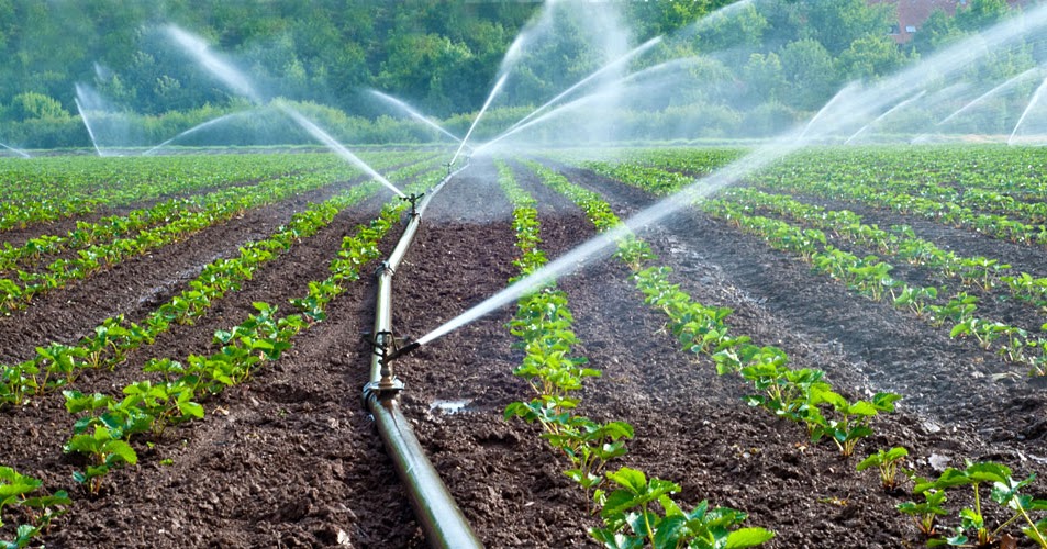THE NEED FOR IRRIGATION - SUA ENGINEERS ASSOCIATION