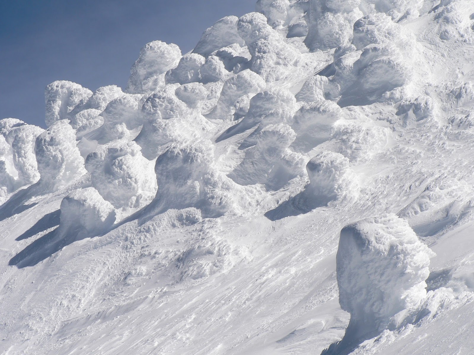 Some Kind Of Bliss: The Snow Ghosts