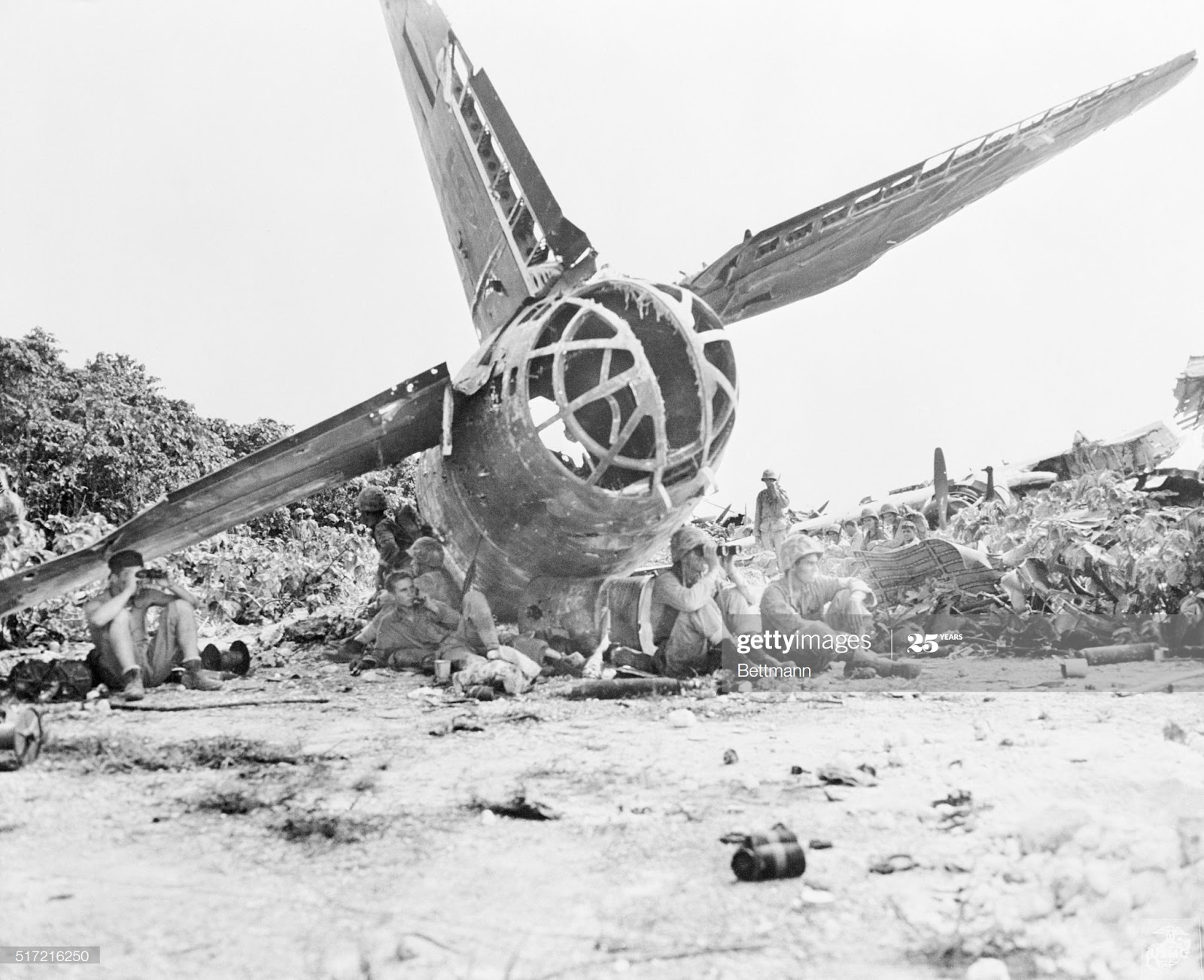 WildEagles: IJAAF & IJNAF wrecked aircraft #37 - Peleliu