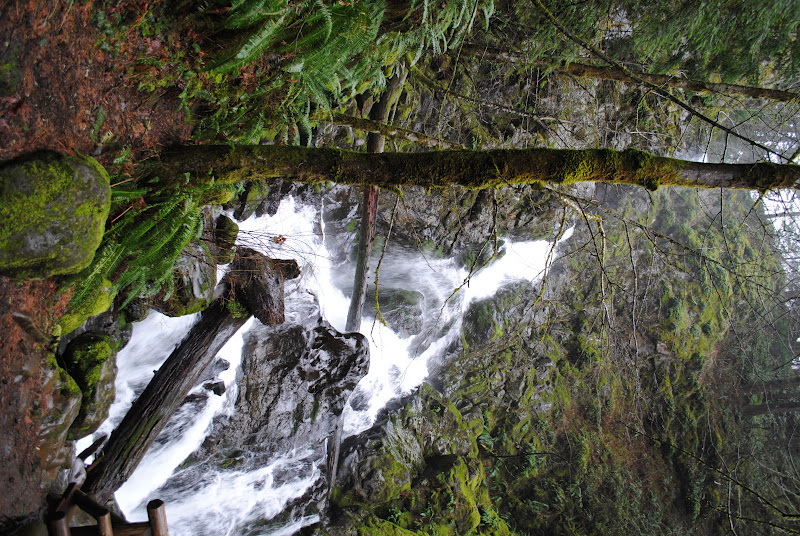 Black Watch Sasquatch: Rodney Falls & Little Beacon Rock - Columbia ...