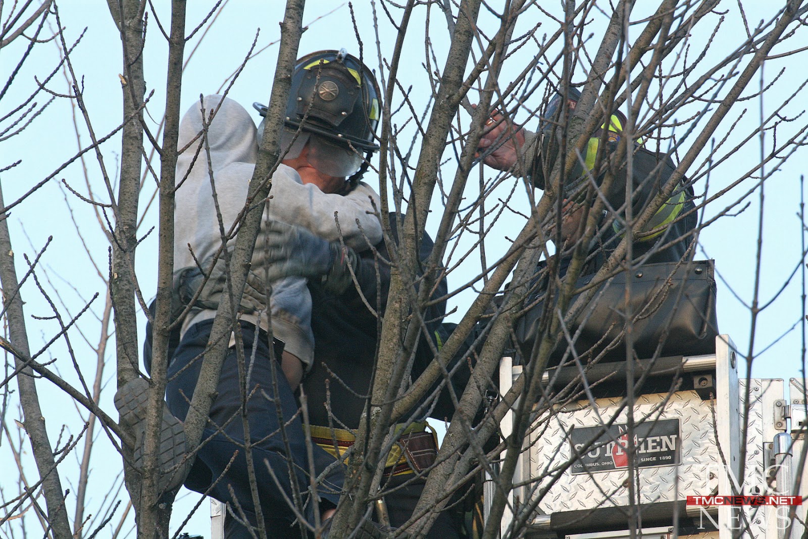 TMCNEWS.NET: FIREFIGHTERS RESCUE KID STUCK HIGH UP IN A TREE