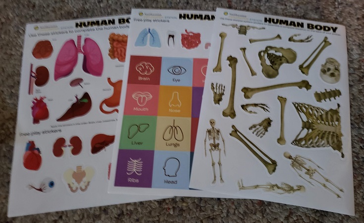 Airplanes and Dragonflies: The Smithsonian Exploration Station: Space ...