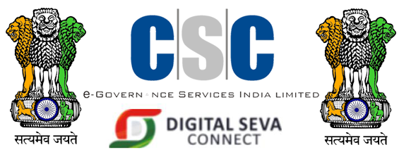 DIGITAL COMPUTER: CSC SERVICES