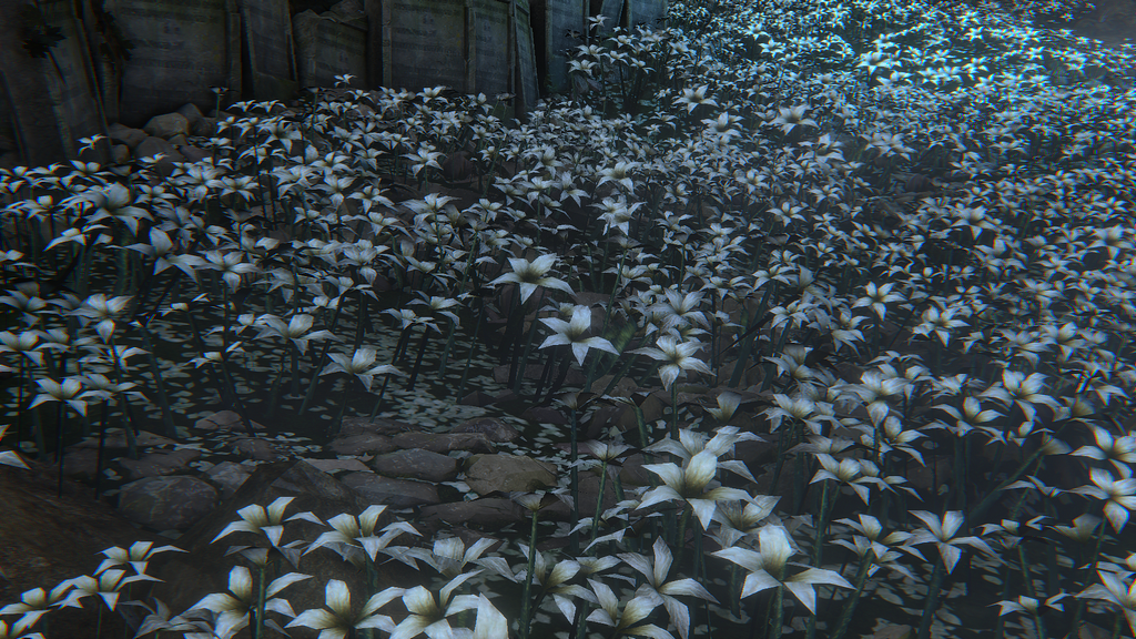 Flowers in Hunter's Dream | Bloodborne Wiki