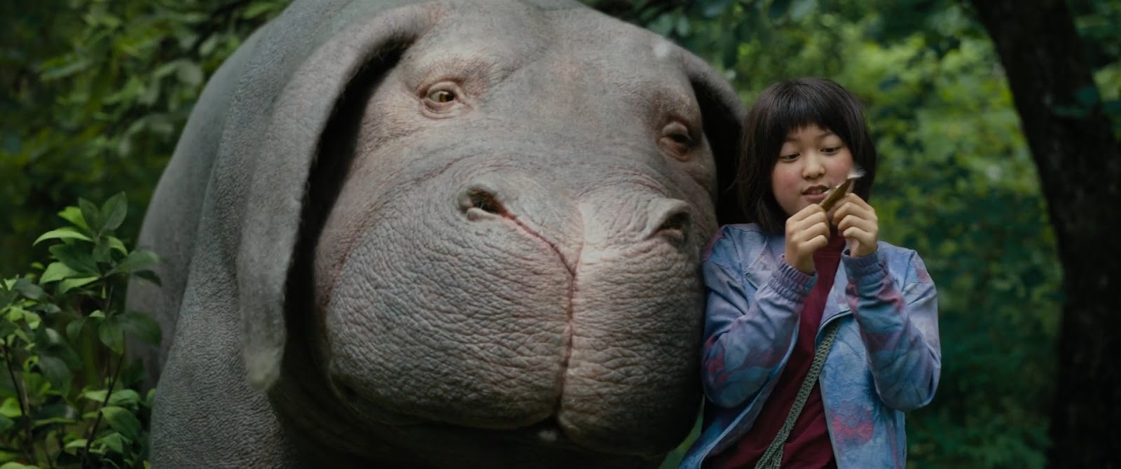Okja | Crítica - Popcorn Station