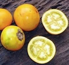 O Verde Gratuito: Maná