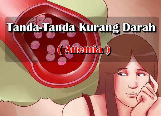 Tanda-Tanda dan Gejala Anemia (Kurang Darah) ~ Cara Mengobati Tuba ...