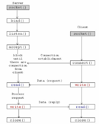 On Linux threading can be done with the pthread (posix threads) library.