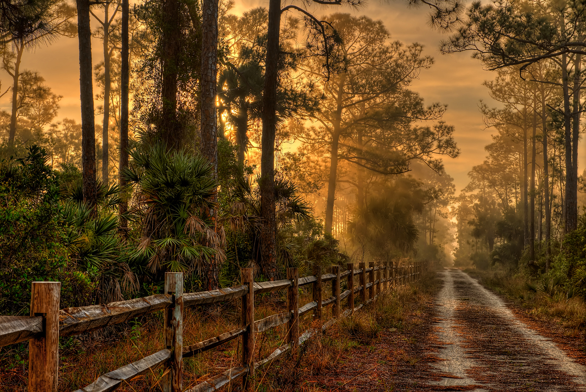 Banco de Imágenes Gratis: Primer amanecer de primavera desde Júpiter ...