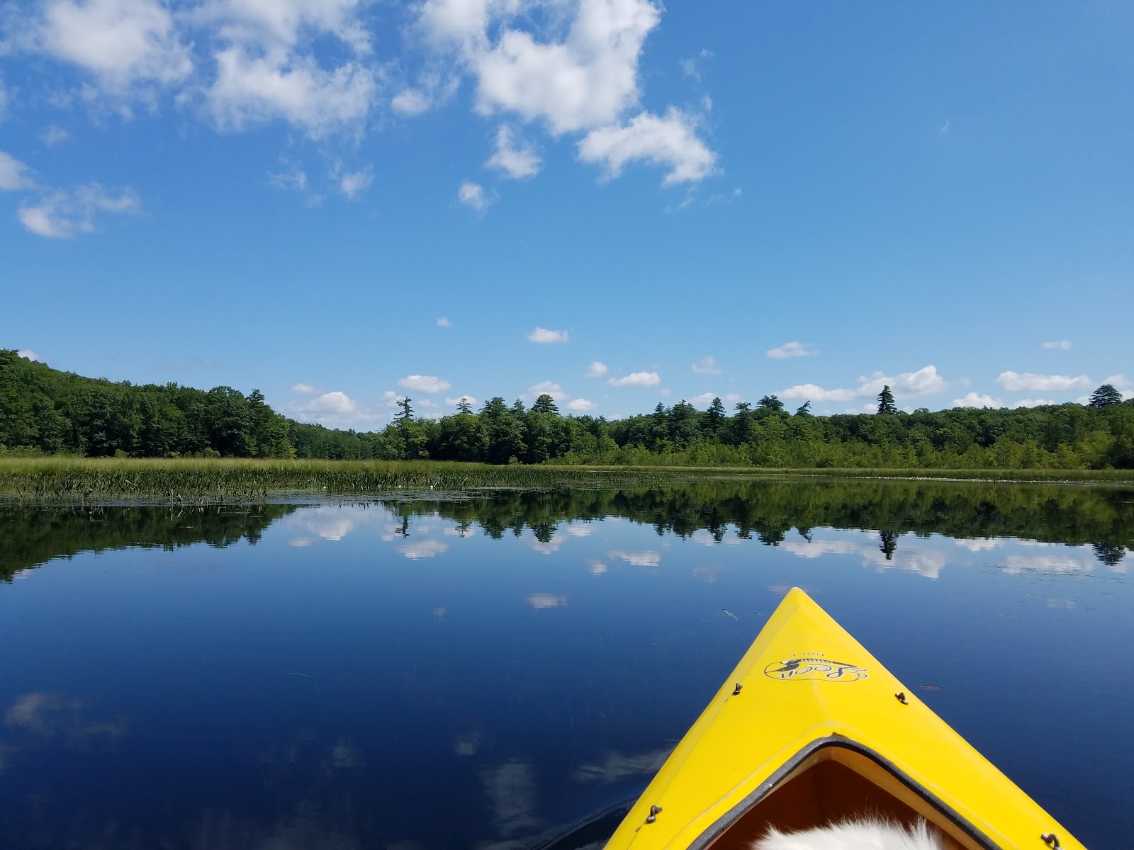 Recreational Kayaking in Maine: Destinations List... Updated August 2020