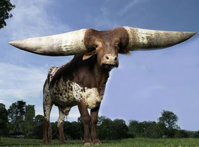 Guinness World Records: Top Ten Animals in Guinness World Records