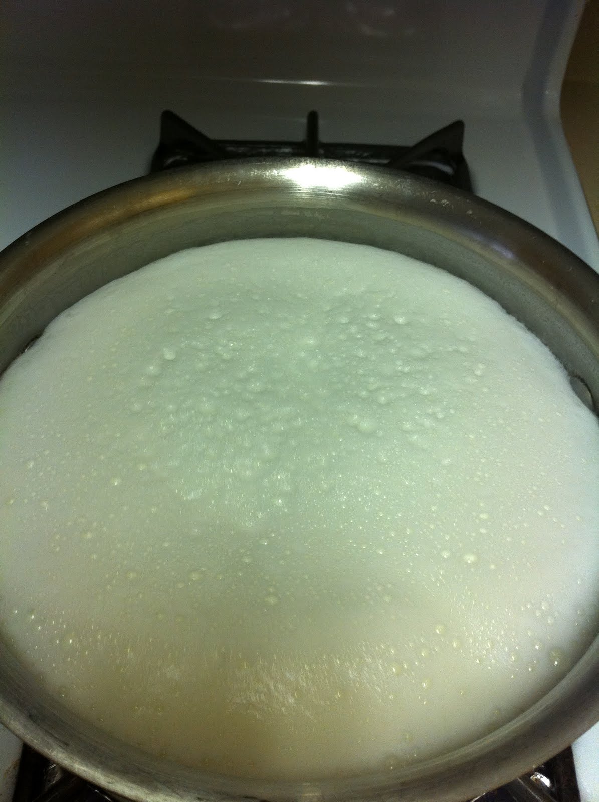 Bhibik ya NehNeh: Homemade Yogurt/ Laban