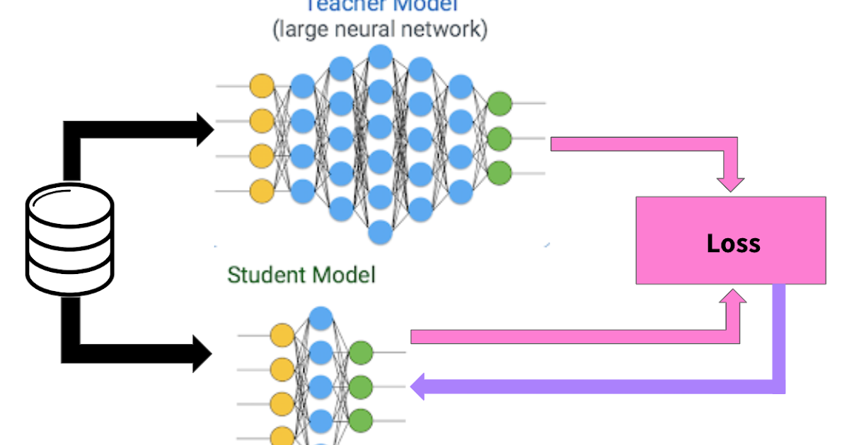 EnVision: Model Distillation