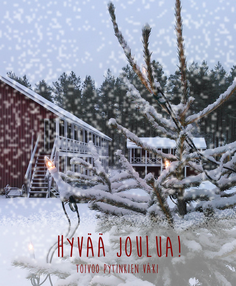 Kotina Pytingit: Hyvää joulua!
