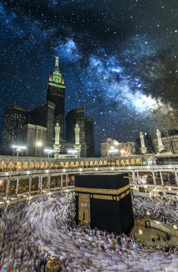 Macca Wallpaper HD - Wallpaper Box