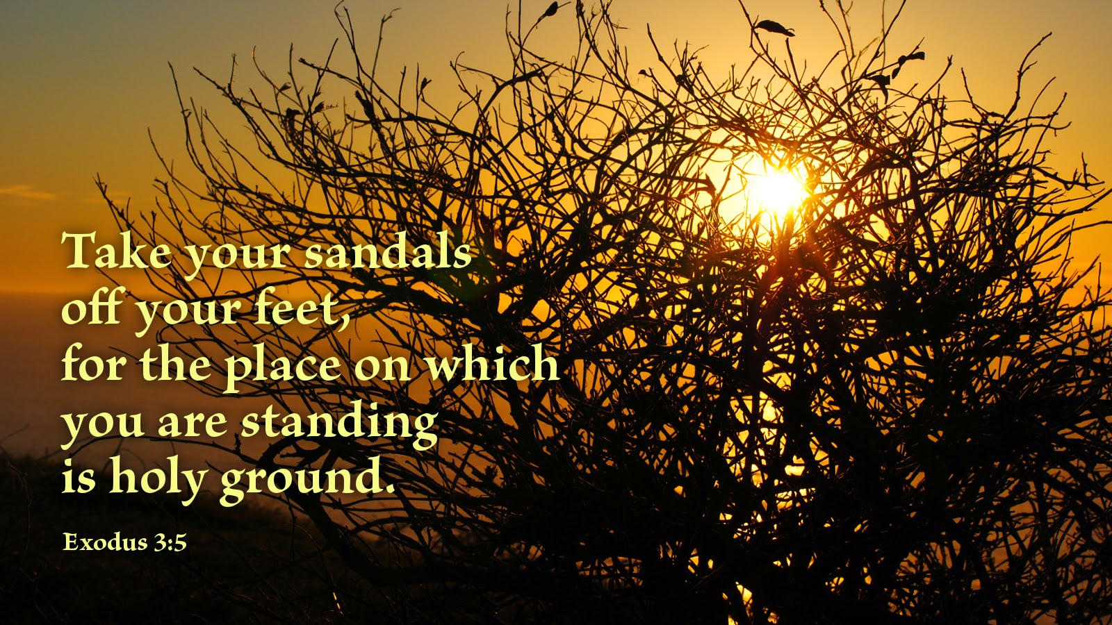 വചനം തിരുവചനം: വിശുദ്ധി