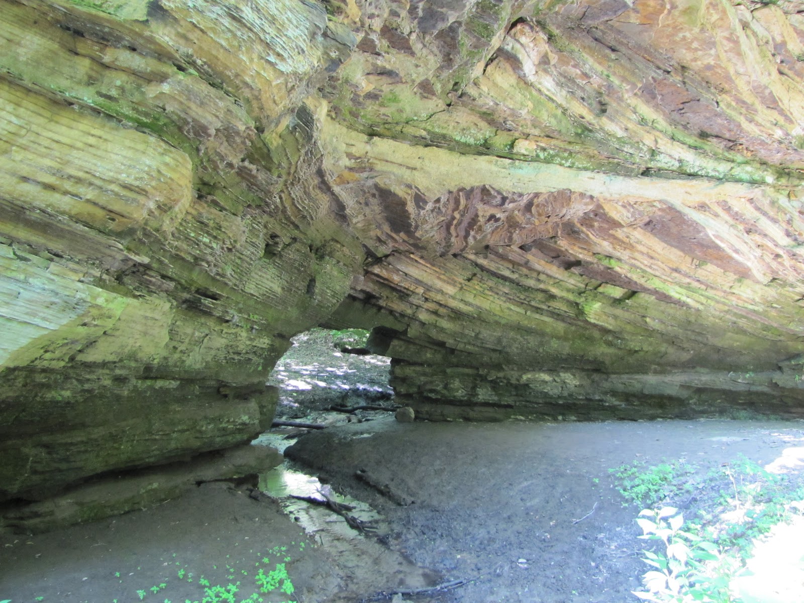 To Behold the Beauty: Portland Arch