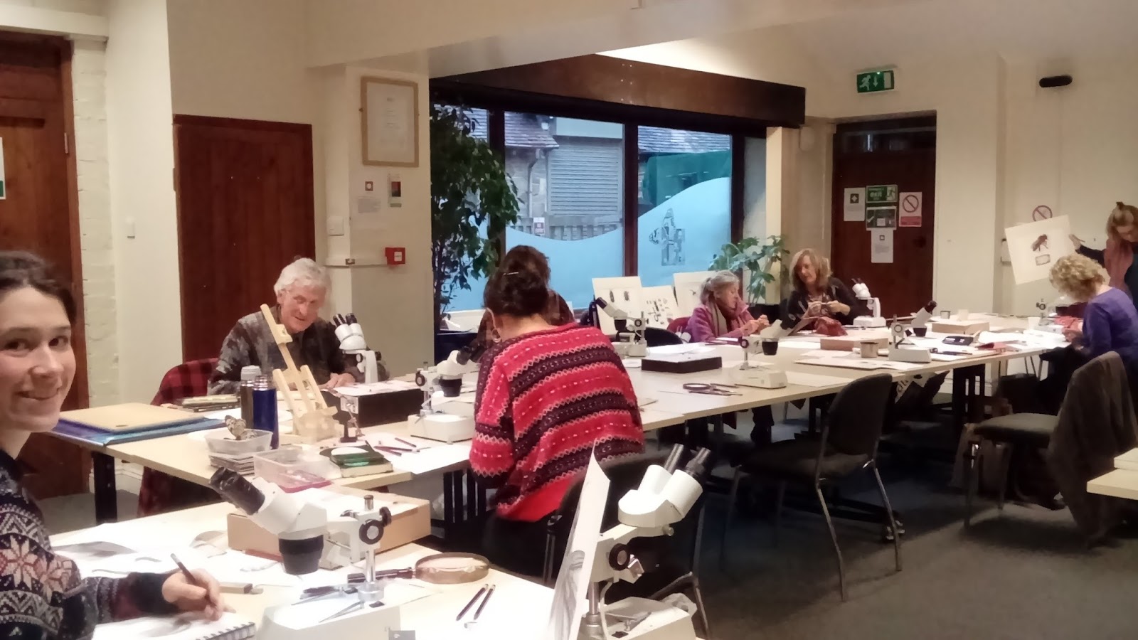 Jules Woolford : 'Beautiful British Bees' - Microscopy Art Workshop ...