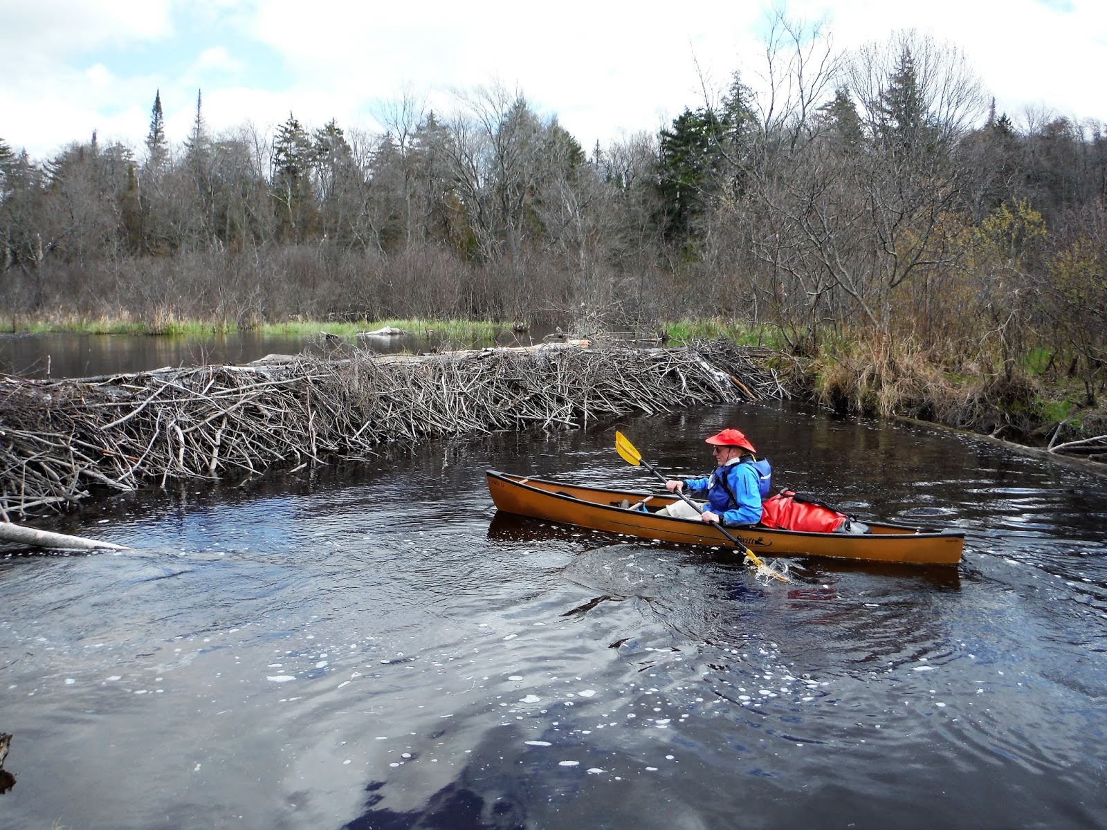 FALL STREAM canoeing and camping.