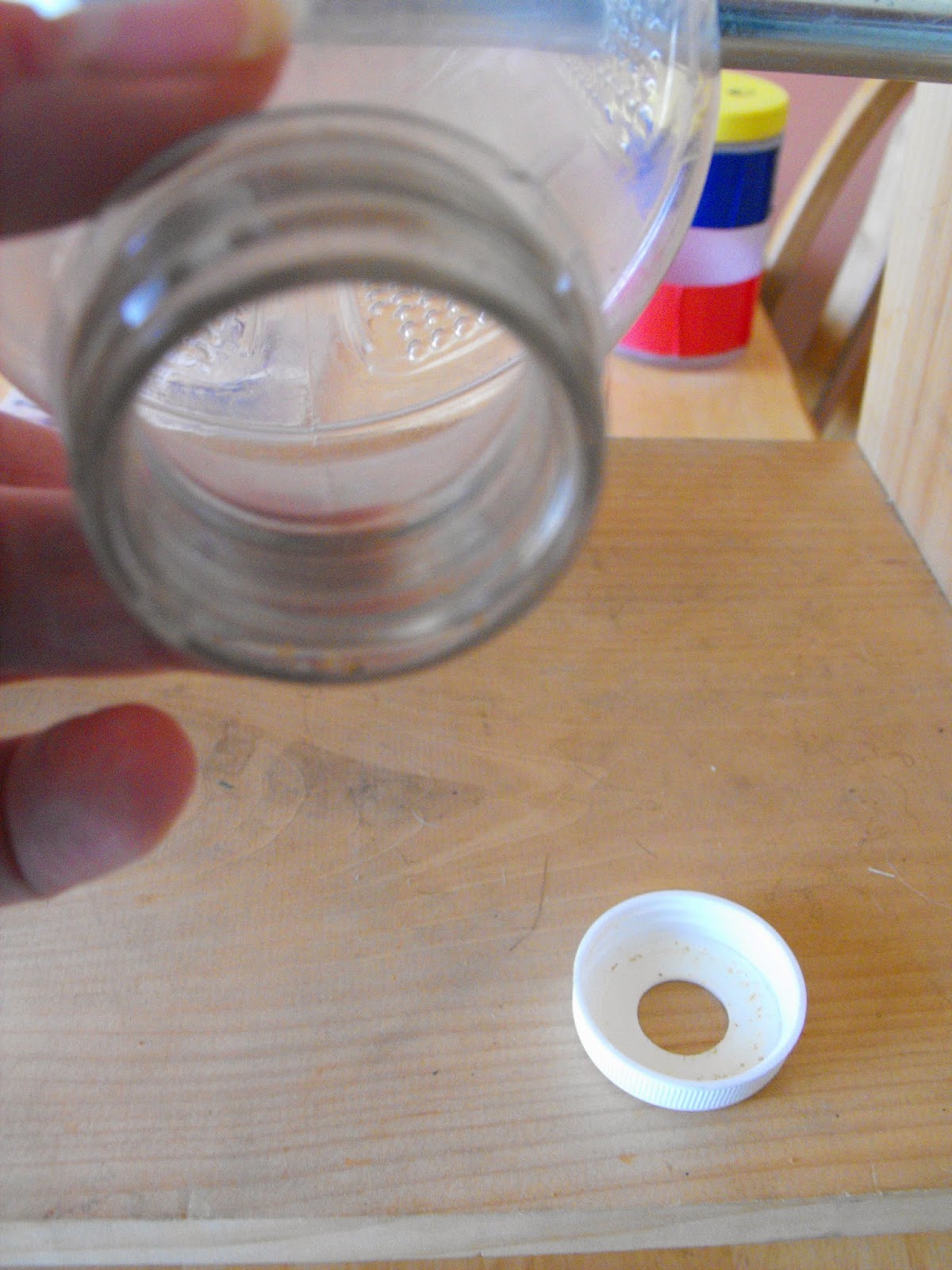 Raising Cinder, a Border Collie Puppy: Spinner Bottle Treat Toy-Cinder ...