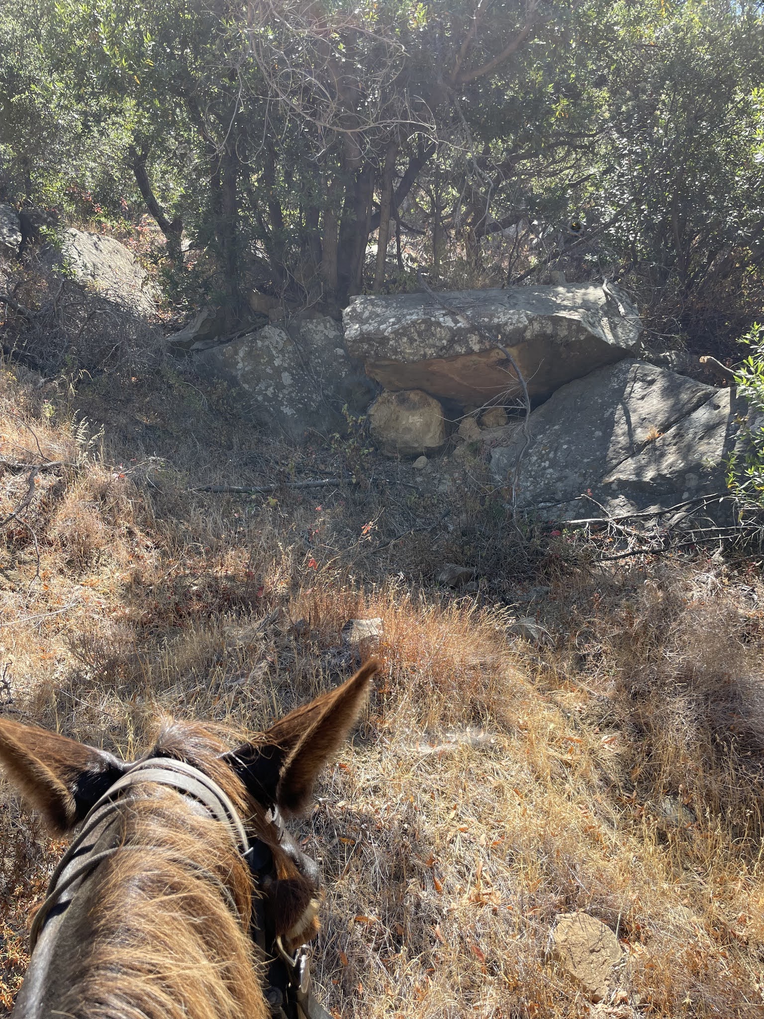 Baron Ranch on the Gaviota Coast - edhat