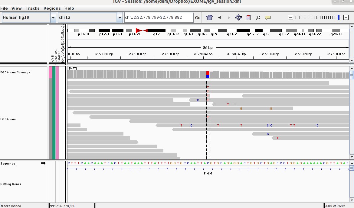 Stacy Project: How to Visualize bam files & find mutations